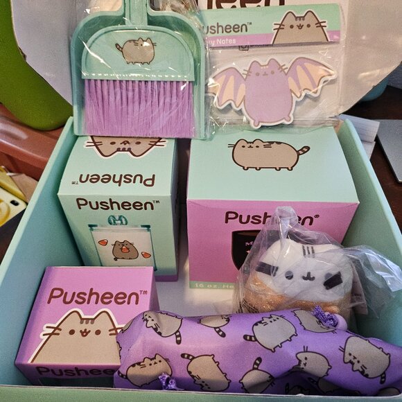 Pusheen | Other | Pusheen Box Fall 29 | Poshmark